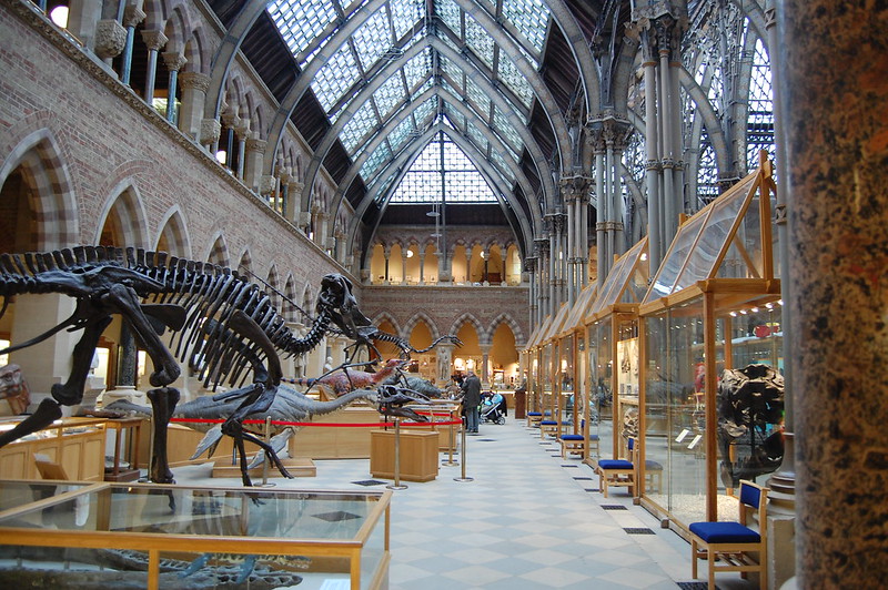 Visiting Oxford, its University and Museums - What to See Day Trips History